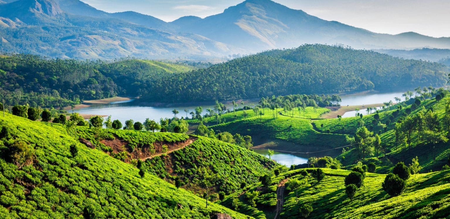 Best Detailed Munnar Travel Guide-First time visitor tips | Munnar ...