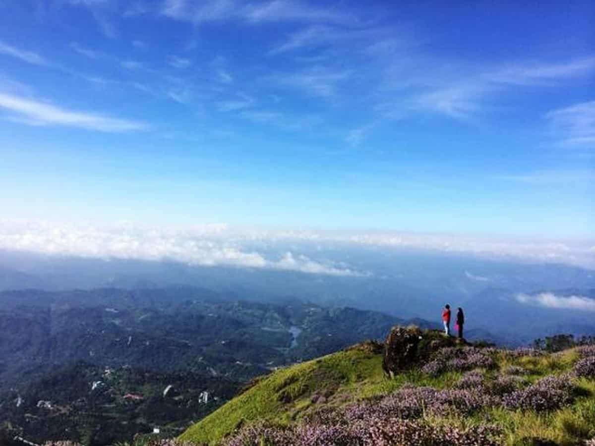 Lockhart Gap Munnar 2022 - Best Time to Visit & Entrance Fees | Munnar ...