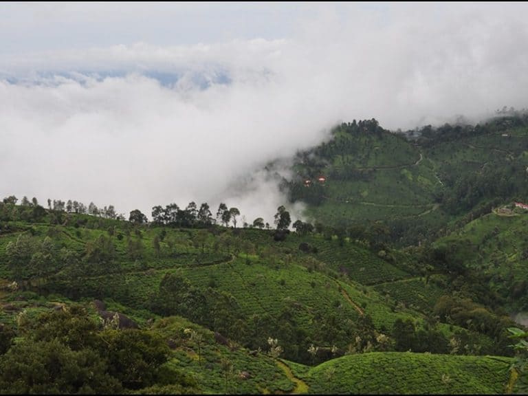 Pothamedu View Point - What to know & Best Time to Visit | Munnar ...