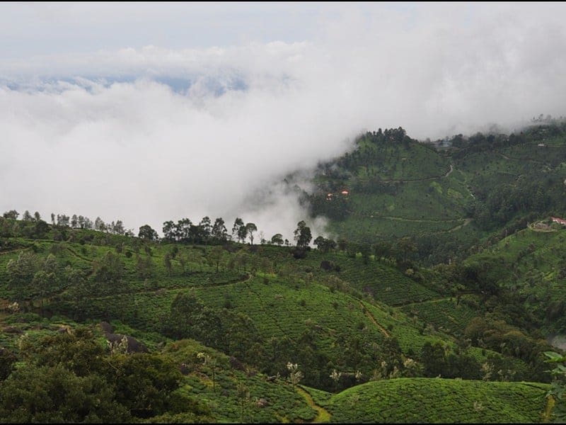 Pothamedu View Point - What to know & Best Time to Visit | Munnar ...