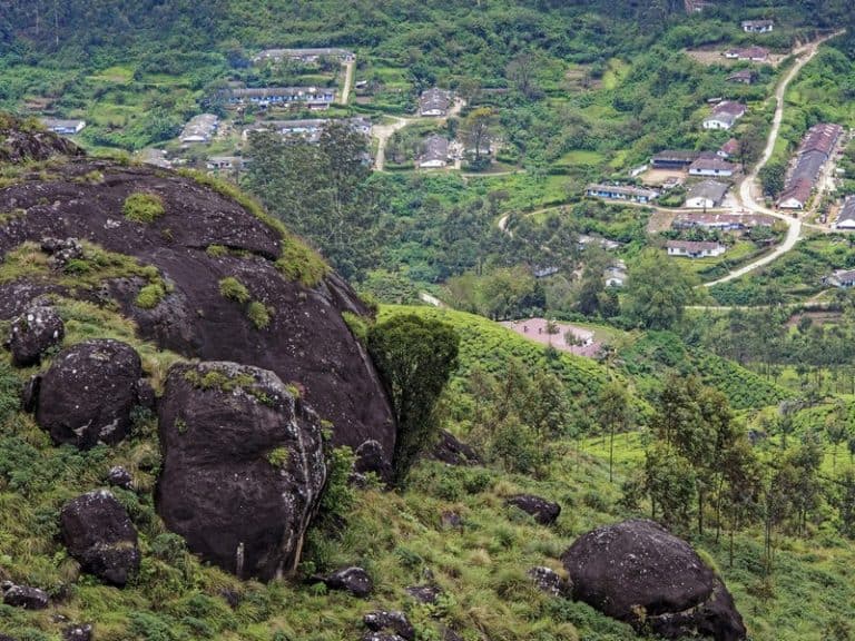 Pothamedu View Point - What to know & Best Time to Visit | Munnar ...