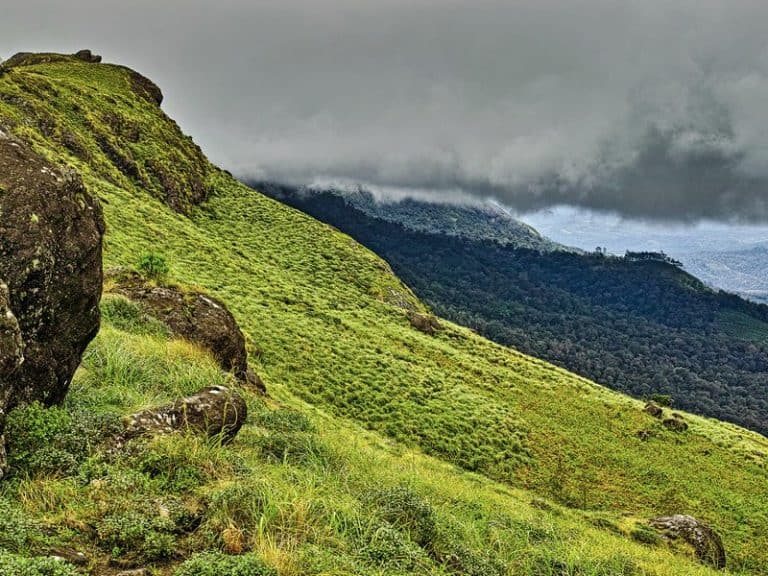 Pothamedu View Point - What to know & Best Time to Visit | Munnar ...