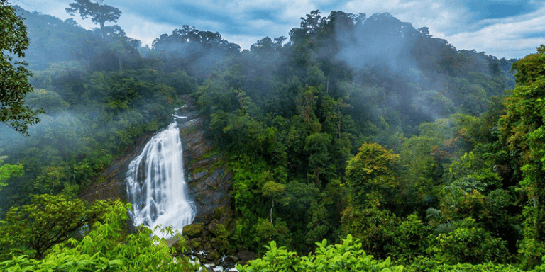 Top 8 Munnar Waterfalls | Munnar Insider Travel Blog