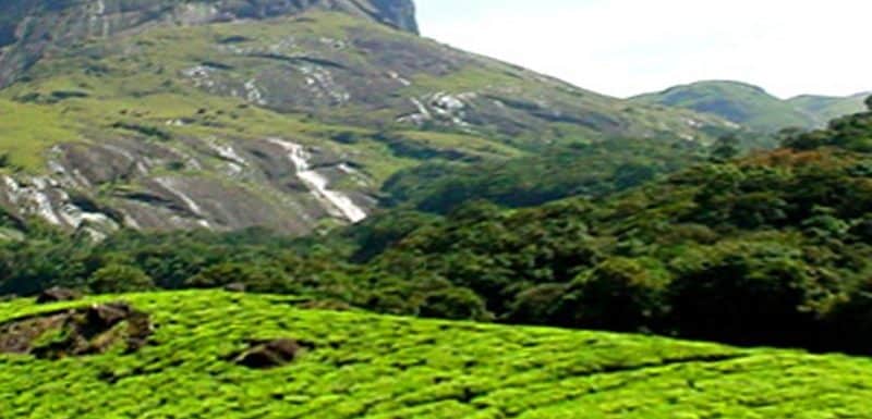 Best time to visit Munnar - Munnar Weather, Season and Climate for each ...