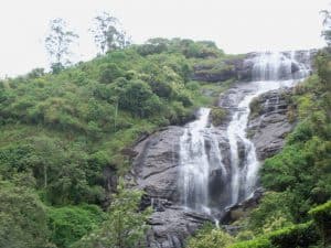 Top 15 Must Visit Munnar Tourist Places | Munnar Insider Travel Blog