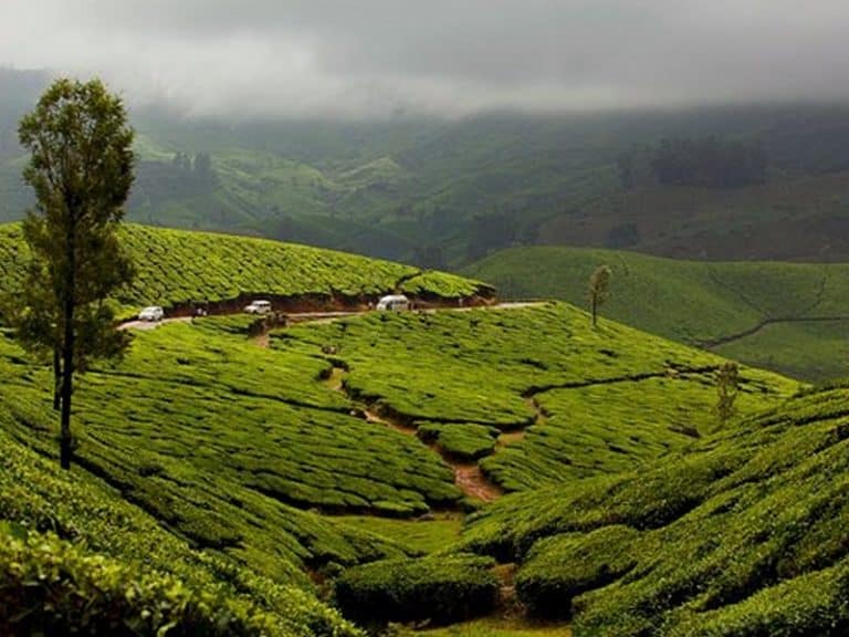 Top 15 Must Visit Munnar Tourist Places | Munnar Insider Travel Blog