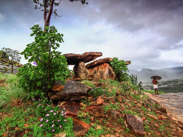 Top 15 Must Visit Munnar Tourist Places | Munnar Insider Travel Blog