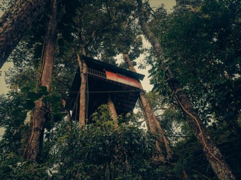 Top 12 Best Tree Houses in Munnar | Munnar Insider Travel Blog