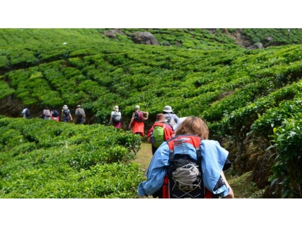 Munnar Distance Chart-A Traveler's Guide to Other places from Munnar ...