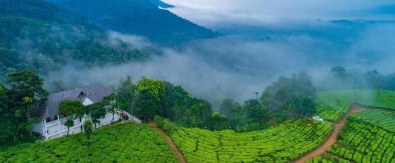 Vattavada Tourist Attractions | Munnar Insider Travel Blog