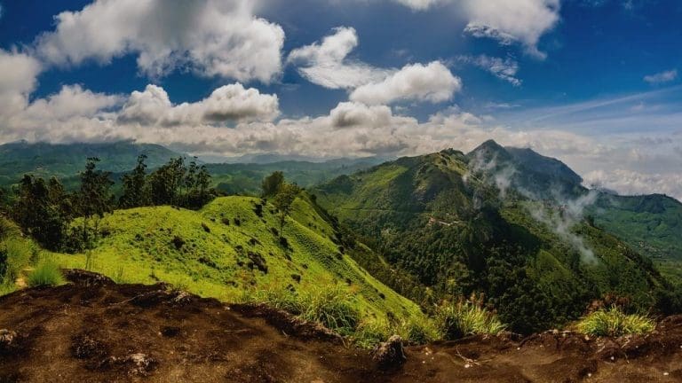 Top 8 Best Treks In Munnar- Camping, Routes and Best Time | Munnar ...
