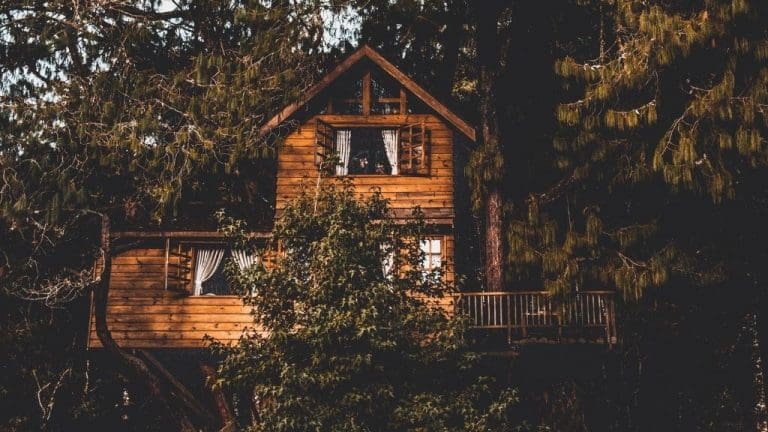 Chinnar Wildlife Sanctuary-Entry Fee, Photos, Timings & All you need to ...