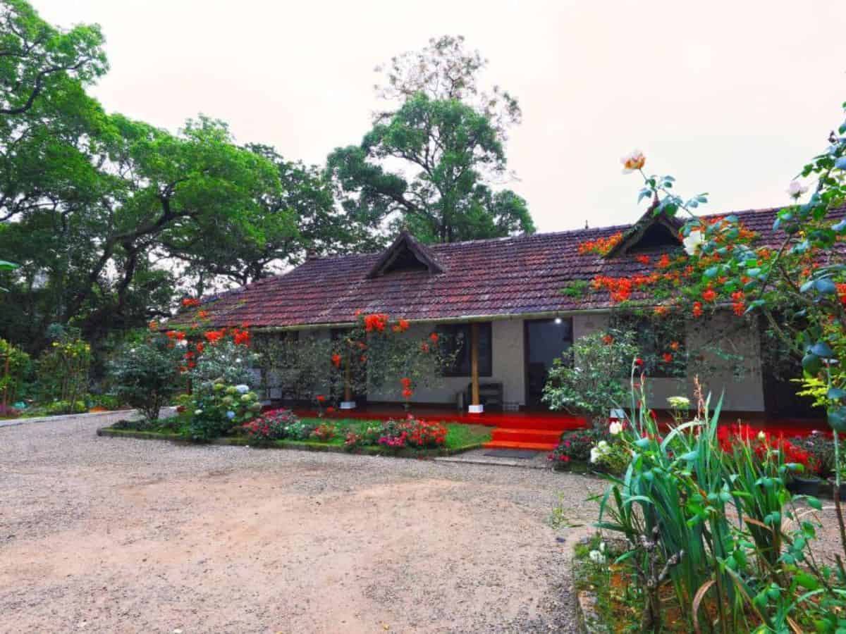 15 Best homestays in Munnar (UPDATED) for an Authentic Holiday | Munnar ...