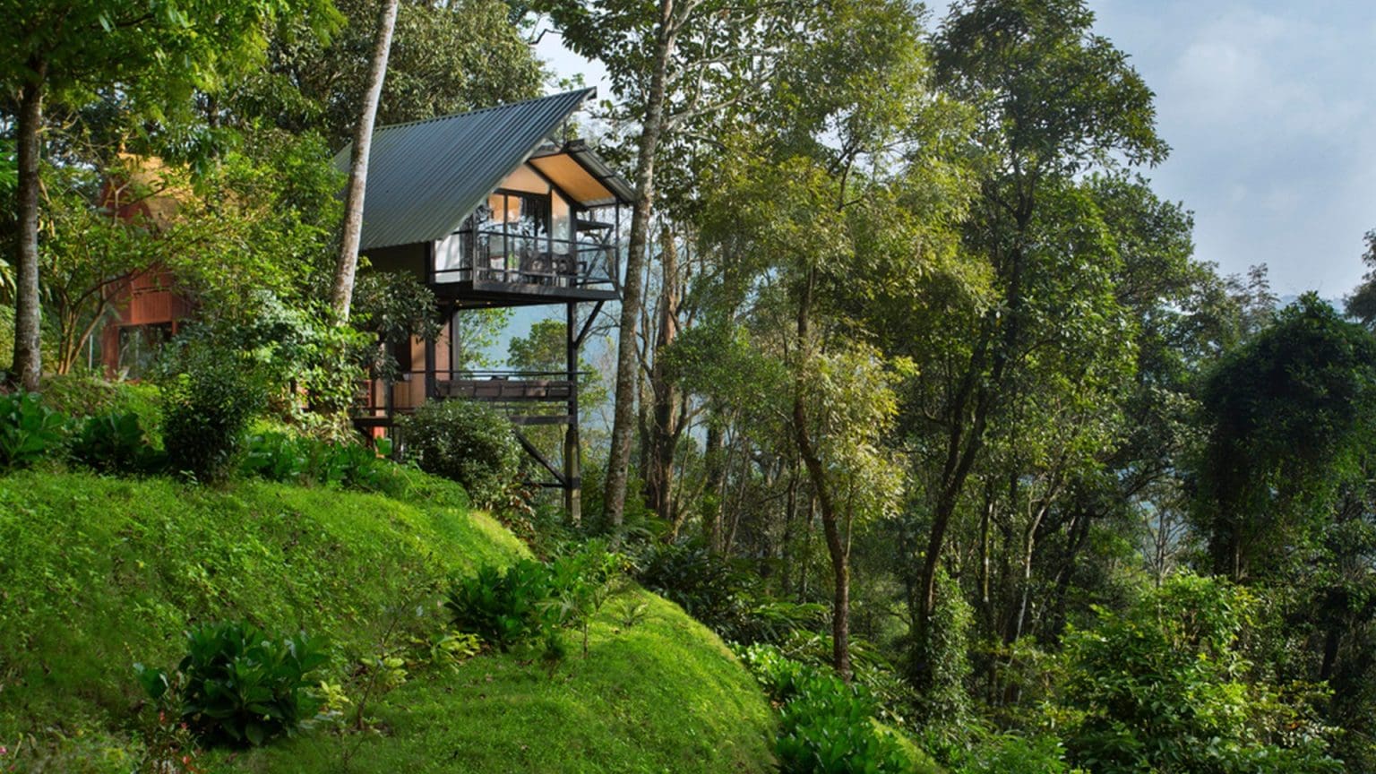 Top 12 Best Tree Houses in Munnar | Munnar Insider Travel Blog