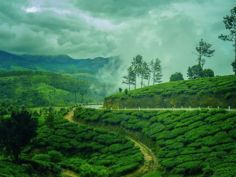 Kanthalloor-The Land of Fruits in Munnar | Munnar Insider Travel Blog