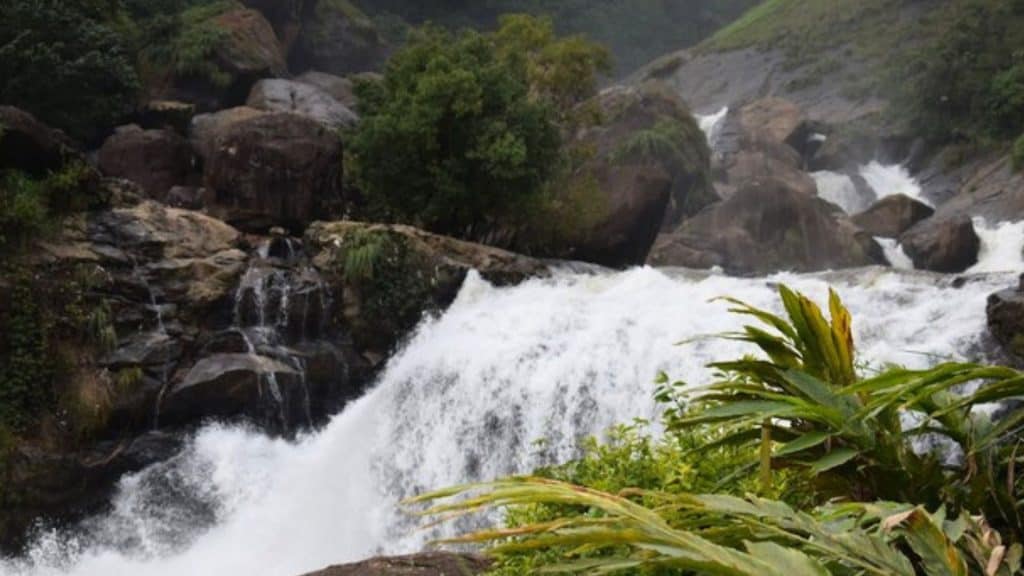 Munnar Travel Guide-Everything You Should Know About Munnar | Munnar ...