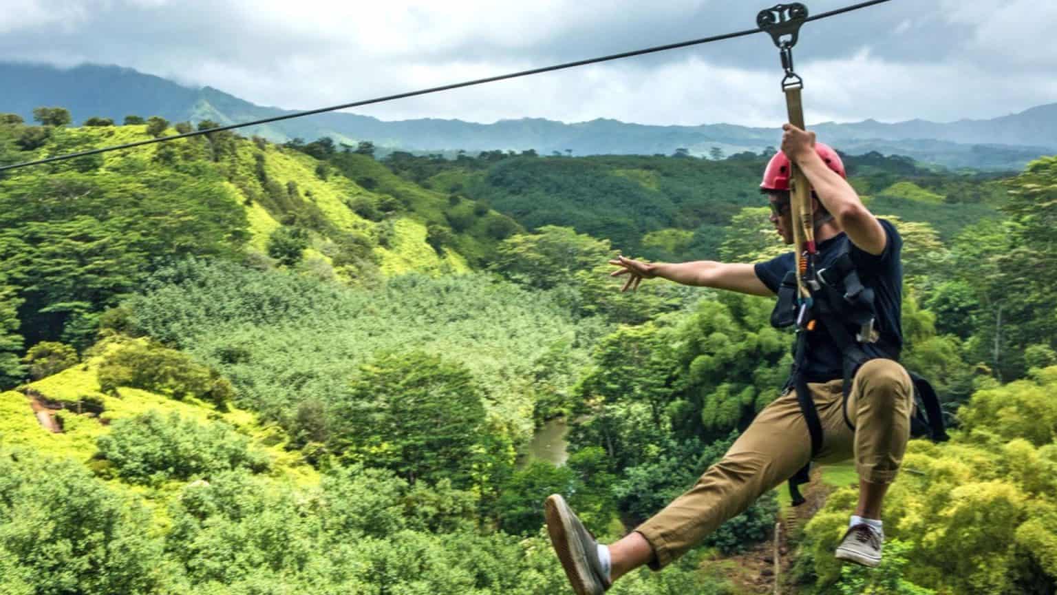 Munnar Travel Guide-Everything You Should Know About Munnar | Munnar ...