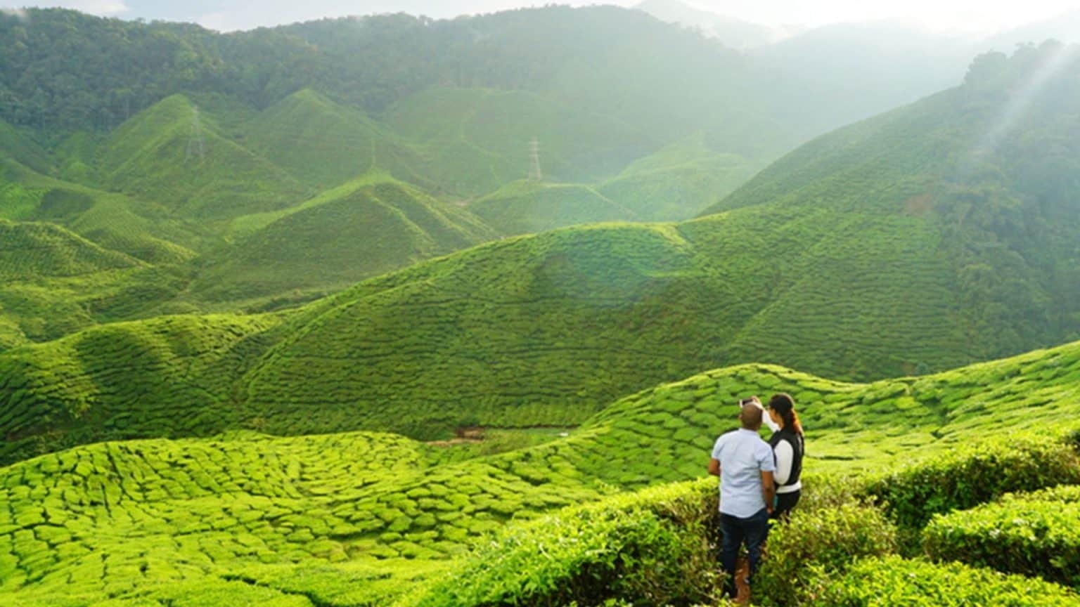 Munnar Travel Guide-Everything You Should Know About Munnar | Munnar ...
