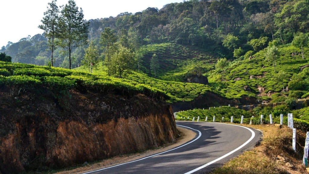 Kochi To Munnar- Taxi Fare, Distance, Travel Time & Sightseeing Tips ...