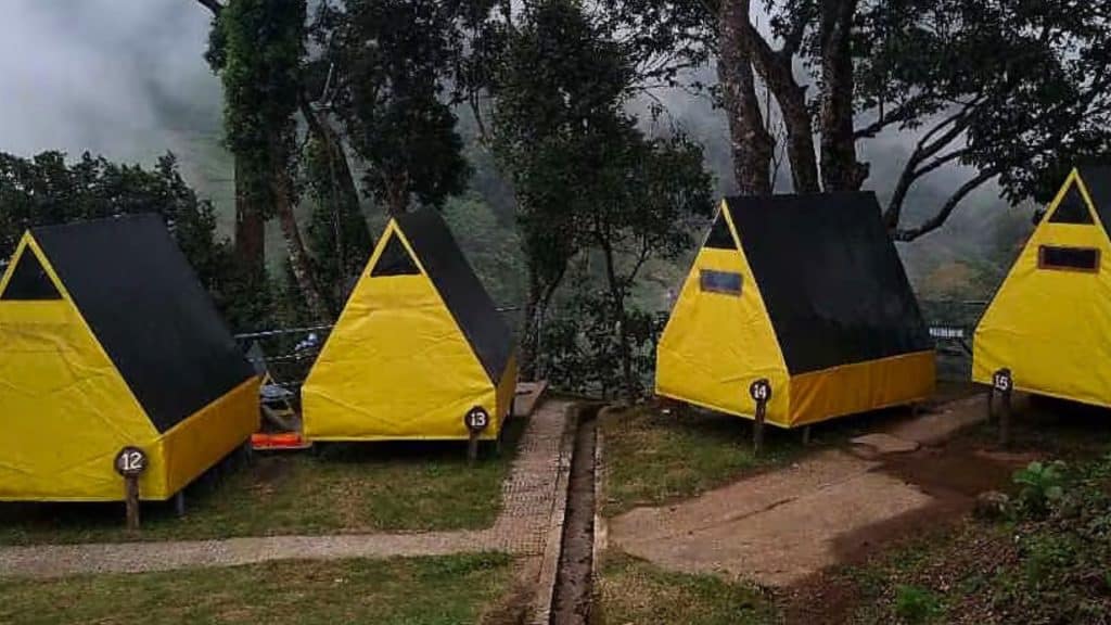 The Ultimate Guide to Camping in Munnar- Experience the Best of Nature ...