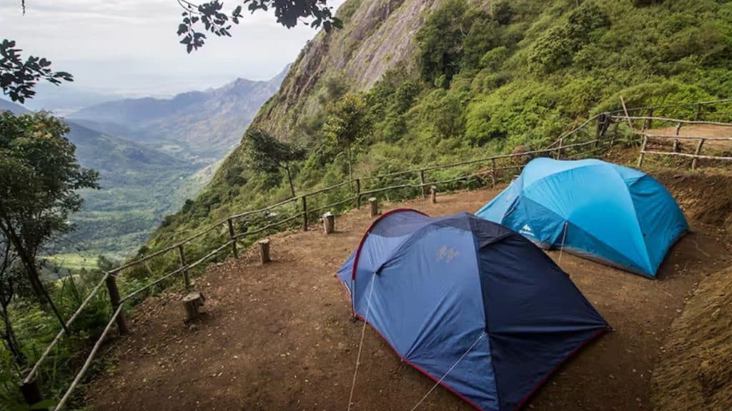 The Ultimate Guide to Camping in Munnar- Experience the Best of Nature ...