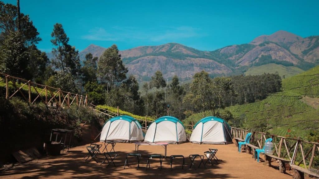 The Ultimate Guide to Camping in Munnar- Experience the Best of Nature ...