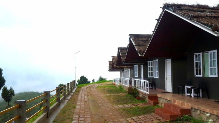 The Ultimate Guide to Camping in Munnar- Experience the Best of Nature ...
