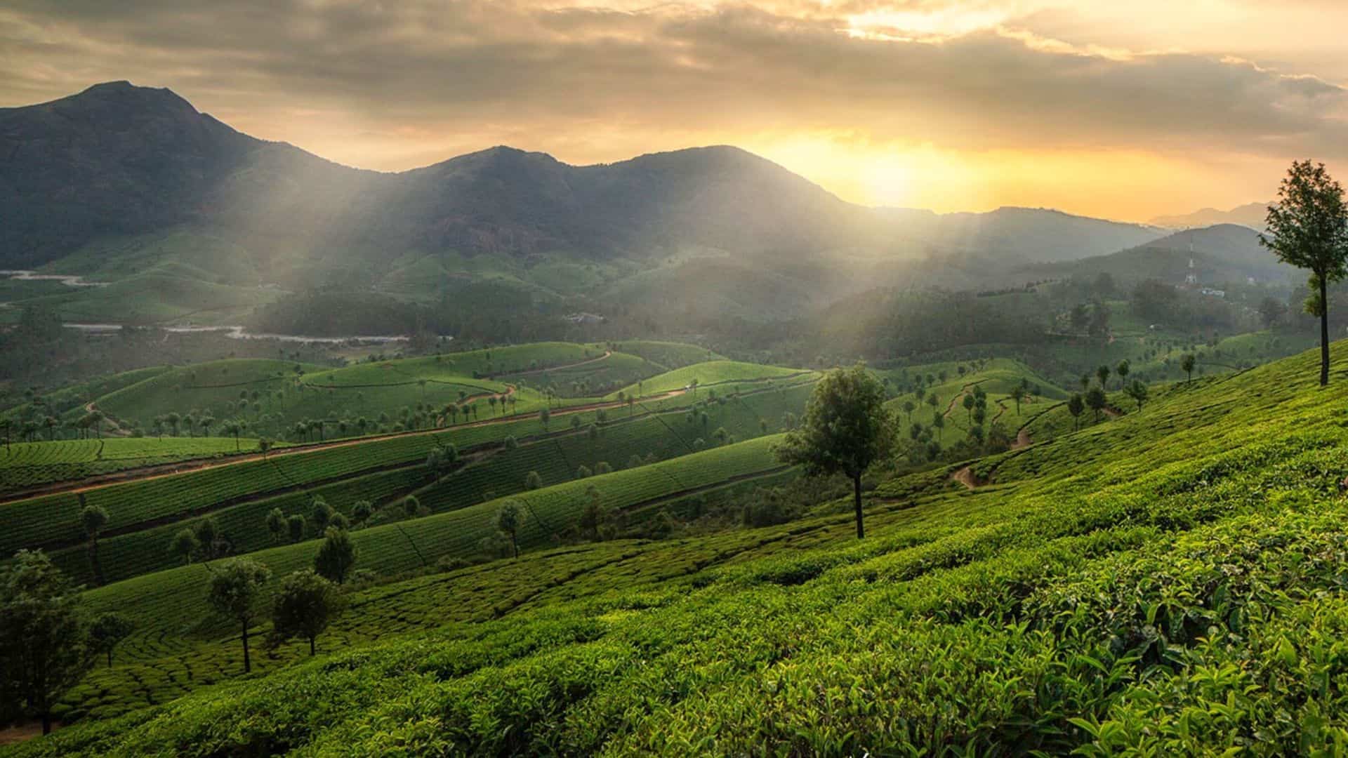 Chennai To Munnar Best Route By Train Timings Today - Infoupdate.org