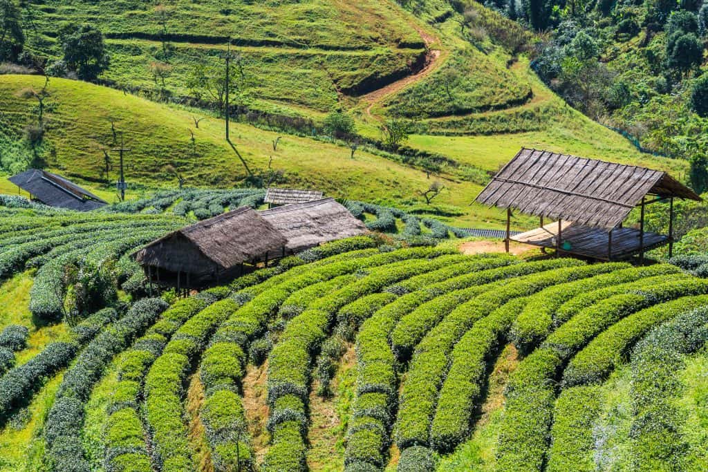 Munnar Temperature, Weather, Season and Climate for each month | Munnar ...