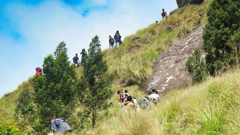 Munnar Temperature, Weather, Season and Climate for each month | Munnar ...