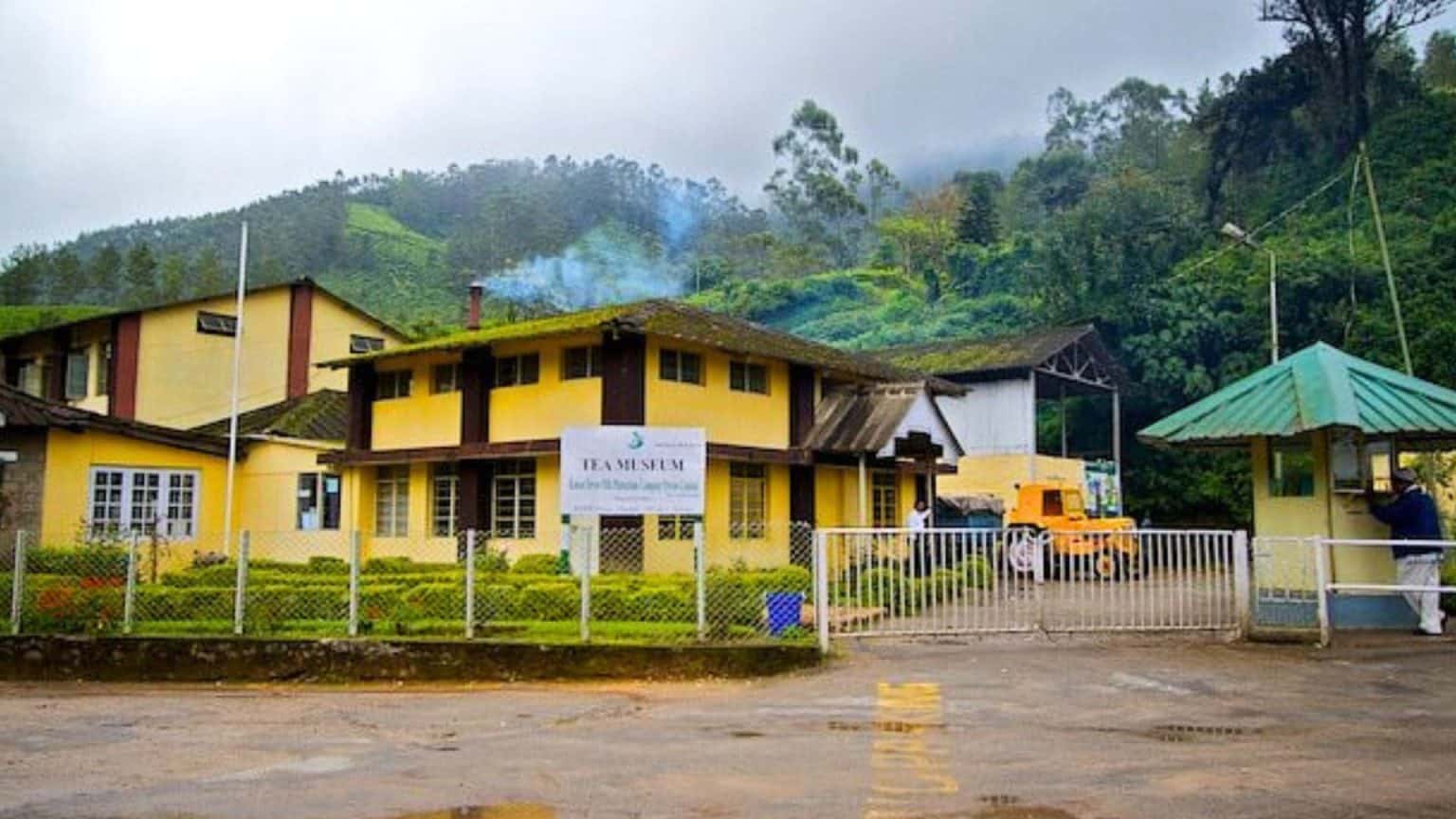 Munnar Travel Guide-Everything You Should Know About Munnar | Munnar ...