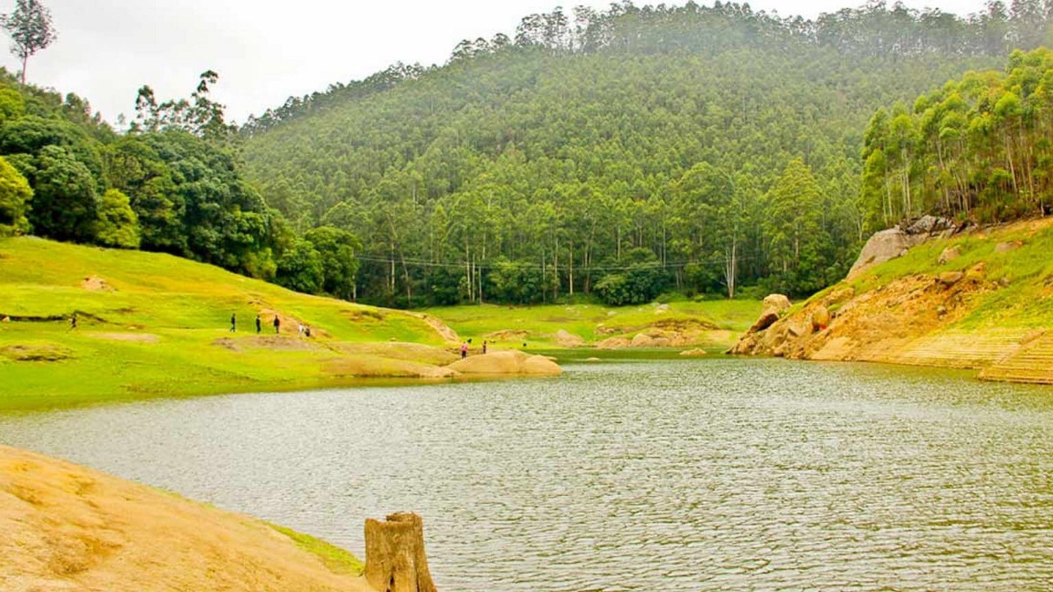 Munnar Travel Guide-Everything You Should Know About Munnar | Munnar ...