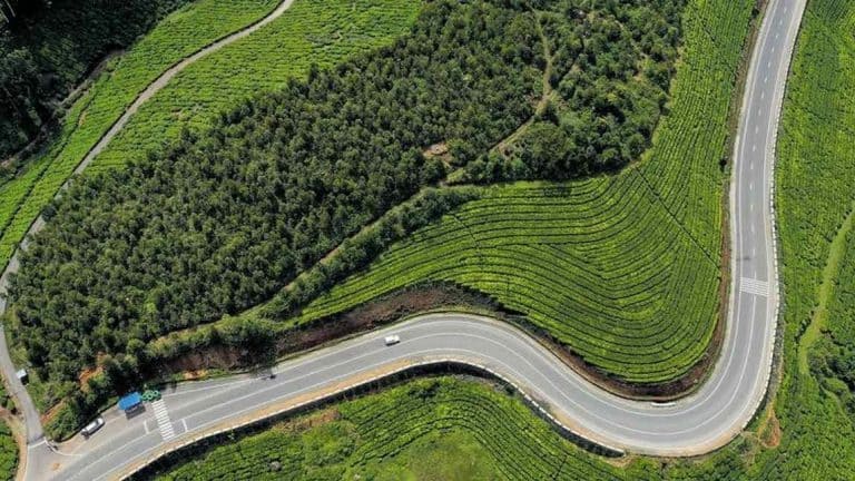 Top 5 Tourist Places In Kerala-Pictures, Tips and Attractions | Munnar ...