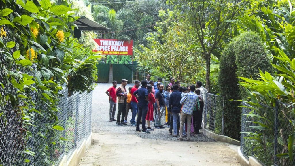 10 Most Famous Spice Gardens In Munnar For A Stimulating Experience ...