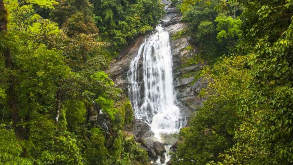 What Is Munnar Famous for-9 Reasons for you to visit | Munnar Insider ...