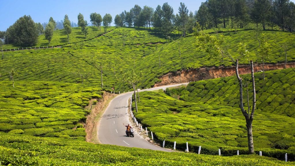 Coorg Or Munnar-Which Is Better For A Trip In 2025? | Munnar Insider ...