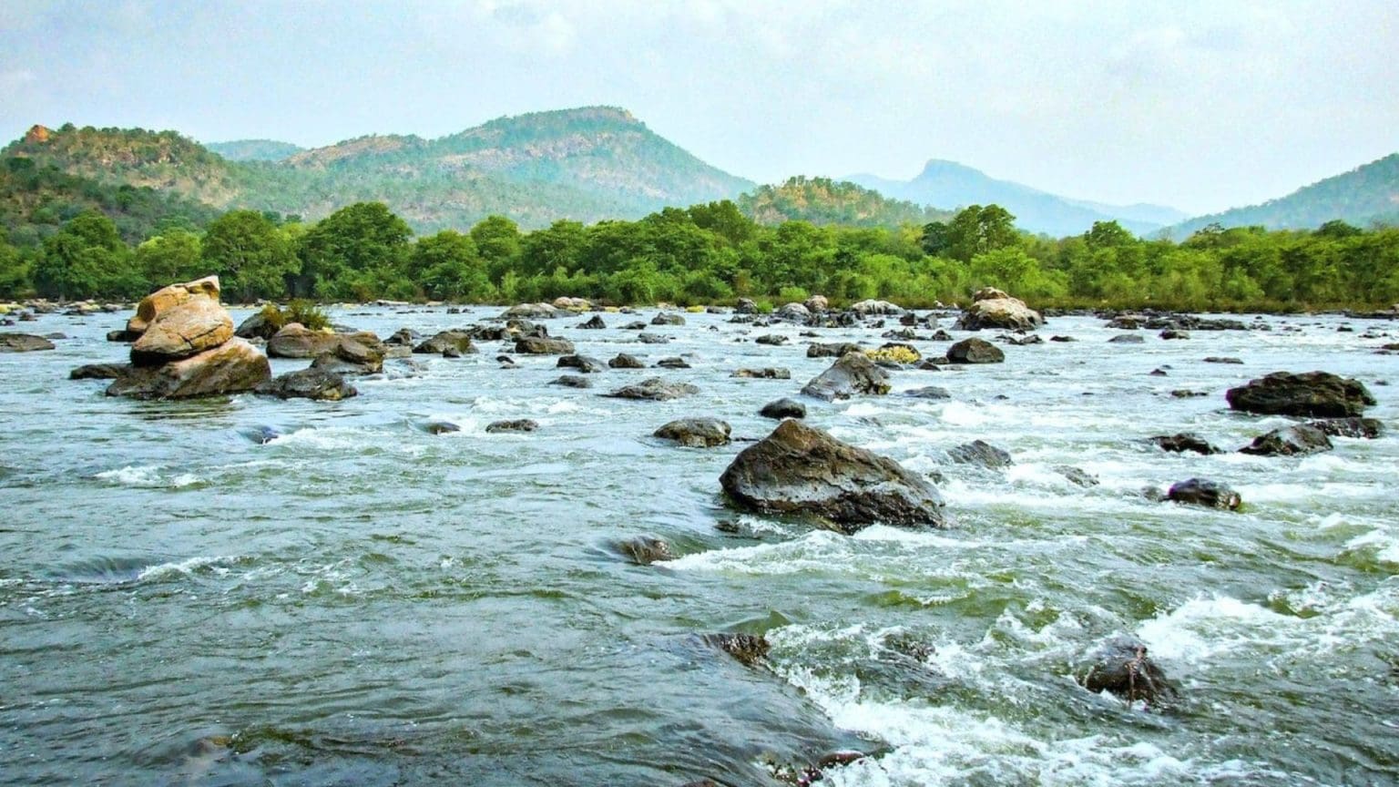 Coorg Or Munnar-Which Is Better For A Trip Now? | Munnar Insider Travel ...