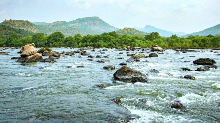 Coorg Or Munnar-Which Is Better For A Trip In 2025? | Munnar Insider ...