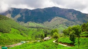 Photo Point Munnar Guide: Getting There, Activities, Tips & More ...