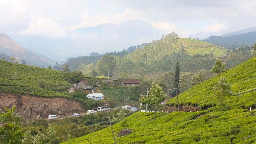 Photo Point Munnar Guide: Getting There, Activities, Tips & More ...