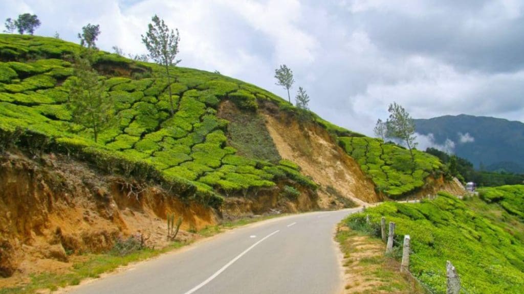 Top 10 Places To Visit In Munnar With Family In 2025 | Munnar Insider ...
