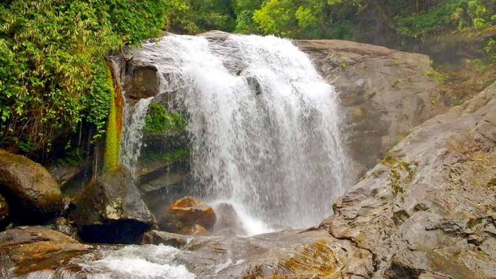 Top 10 Places To Visit In Munnar With Family In 2025 | Munnar Insider ...