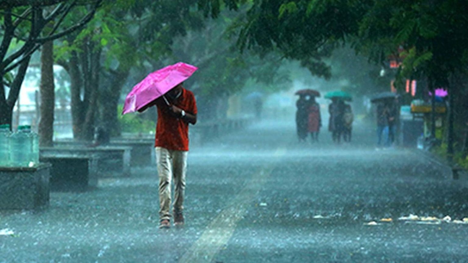 How To Enjoy The Rainy Season In Kerala | Munnar Insider Travel Blog