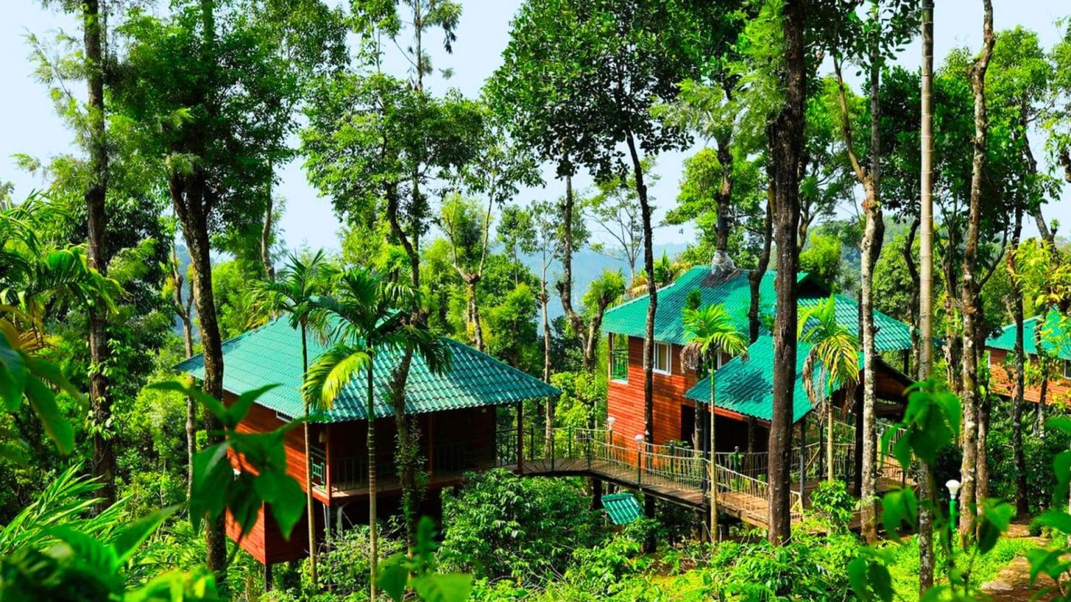 Top 12 Best Tree Houses in Munnar | Munnar Insider Travel Blog