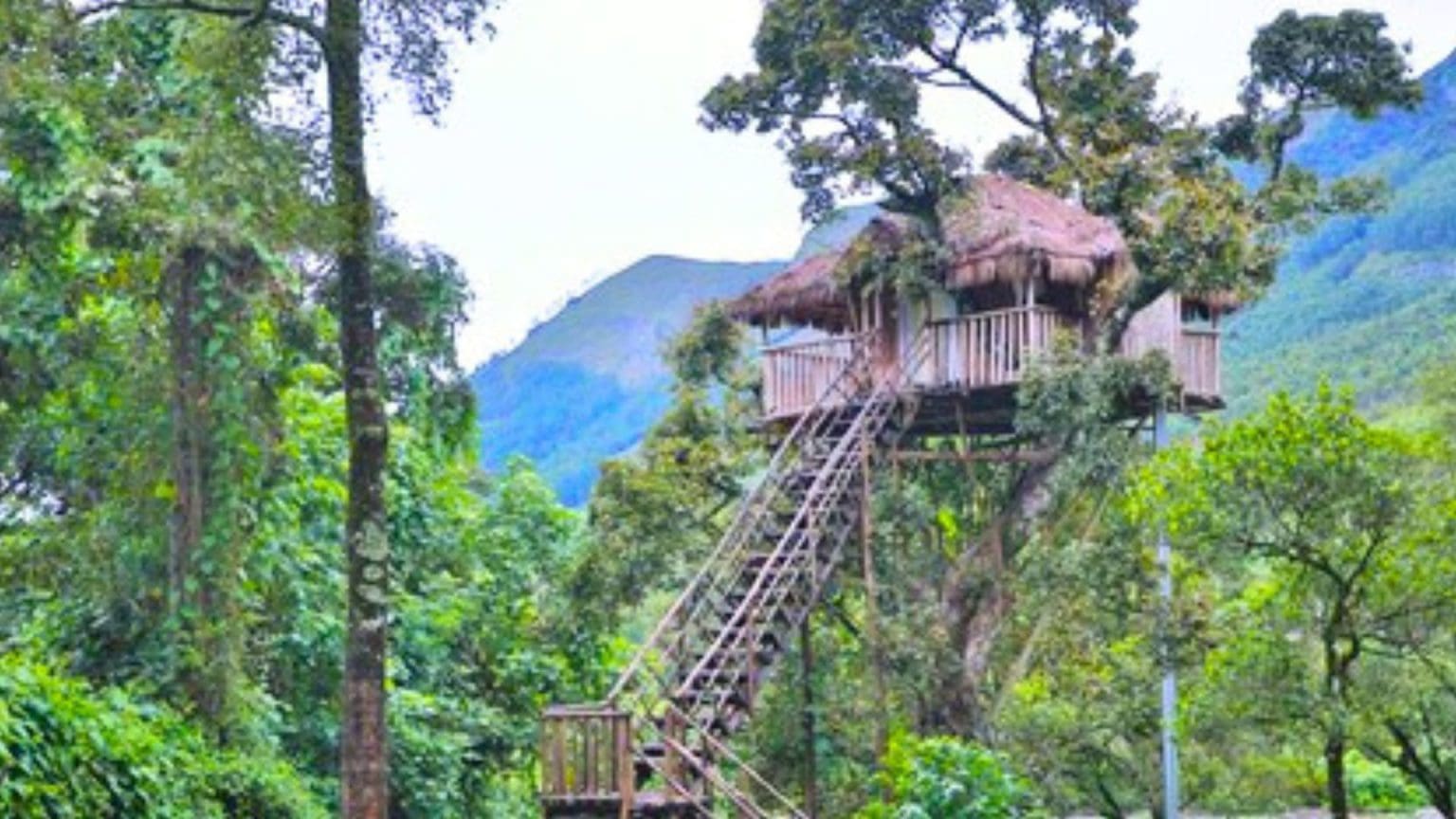 Top 12 Best Tree Houses in Munnar | Munnar Insider Travel Blog