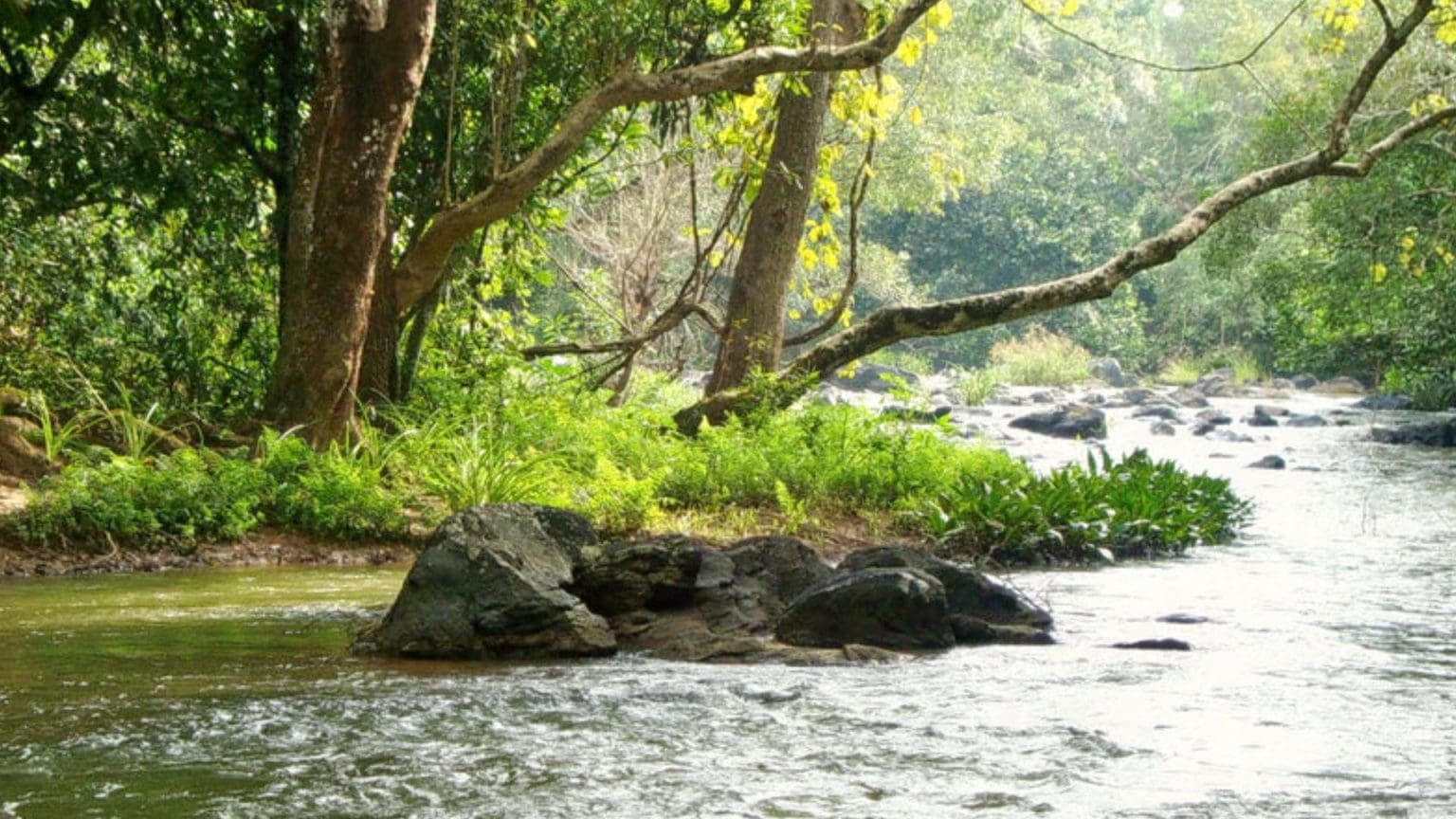 Kuruva Island Wayanad-Timings, History, Entry Fee, Images & Information ...