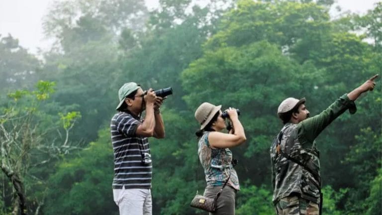 Kuruva Island Wayanad-Timings, History, Entry Fee, Images & Information ...