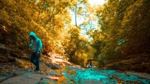 Kuruva Island Wayanad-Timings, History, Entry Fee, Images & Information ...