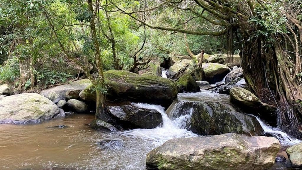 Amazing Things to Do in Vattavada for Nature Lovers and Adventure ...