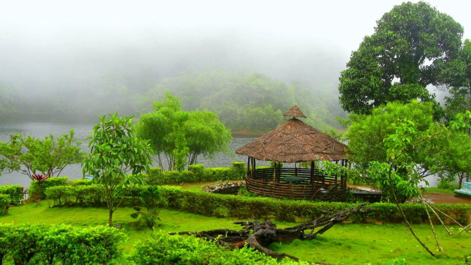 Things to do in Gavi, Kerala for a Peaceful Getaway | Munnar Insider ...